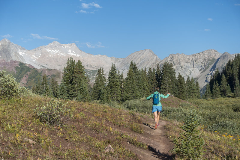 Back into the trees headed down the west side of Buckskin Pass. Photo ...
