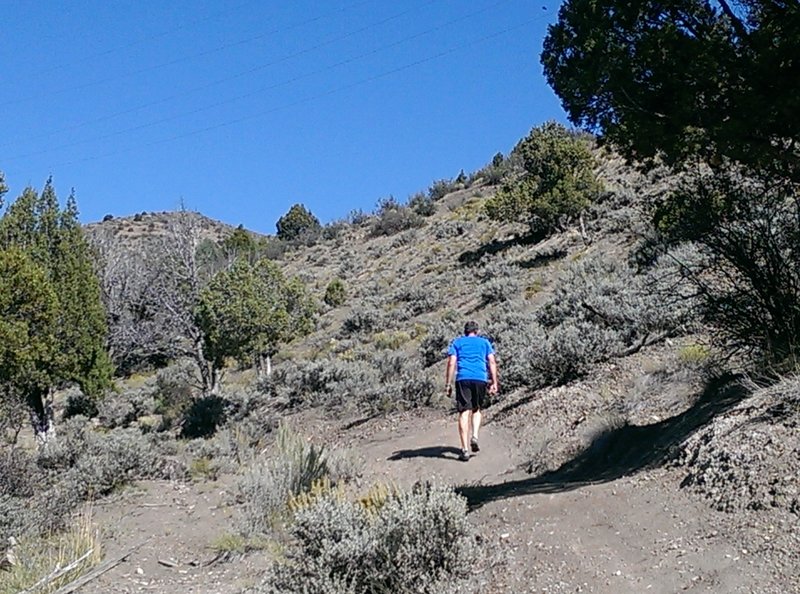 Saddle Ridge Hiking Trail, Avon, Colorado
