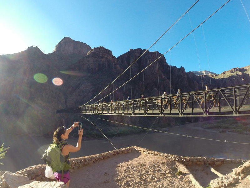 Get across before the mules start crossing this bridge on the Bright ...