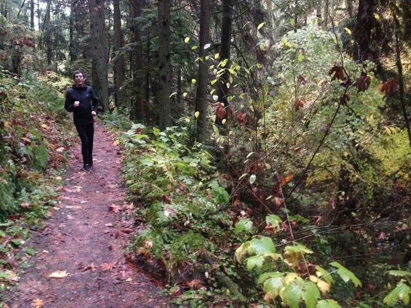 A runner makes his way along the Maple Trail. The trail is very popular ...