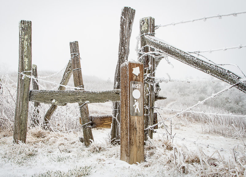 Snow Covered MST Sign. Rime ice and snow covered the entrance to the ...