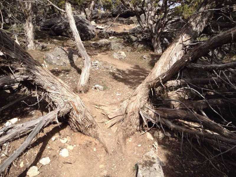 A spur trail that branches off of the main King Nature Park trail and ...