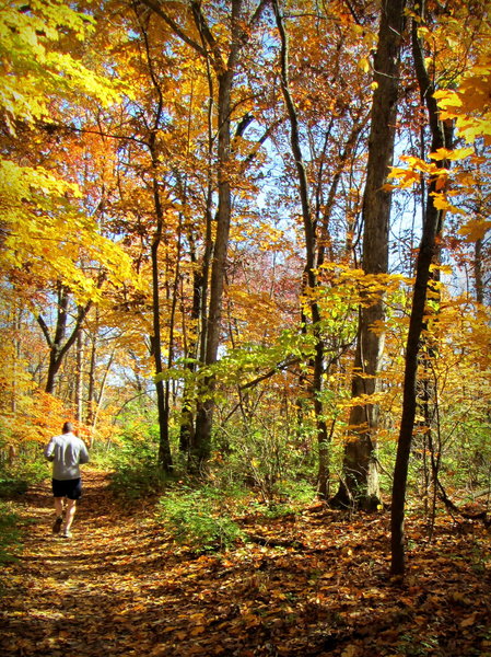 Running along the inner loop of the Spring Valley Trail at Cliff Cave ...