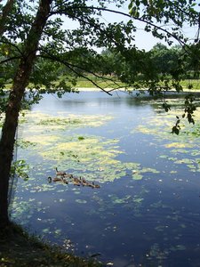 Hiking Trails near Lake Katherine Nature Center and Botanic Garden