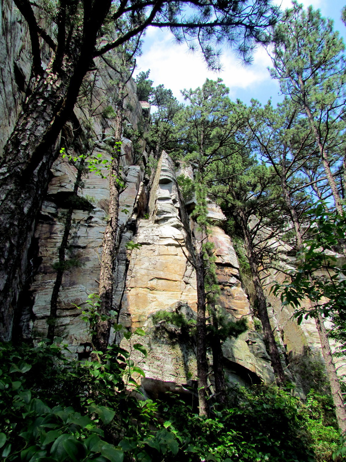 Big Pinnacle Pilot Mountain State Park.
