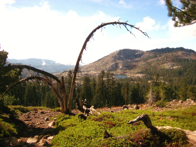 Grouse Ridge Trail Hiking Trail, Truckee, California