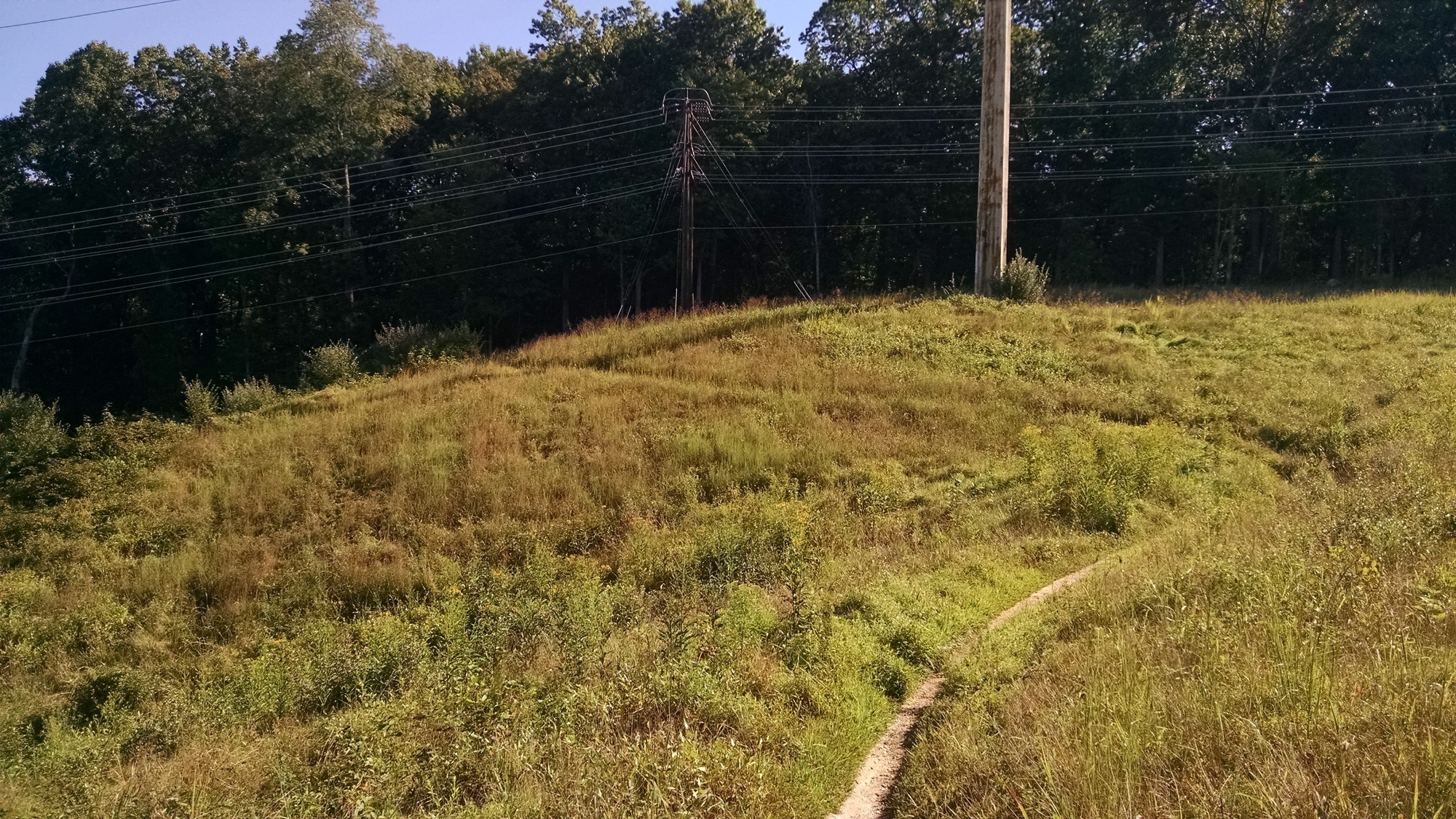 Seneca Ridge Trail powerline cut.