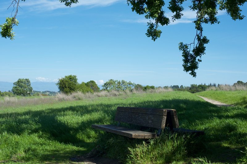 A bench rests under a shade tree as the trail can be seen in the ...