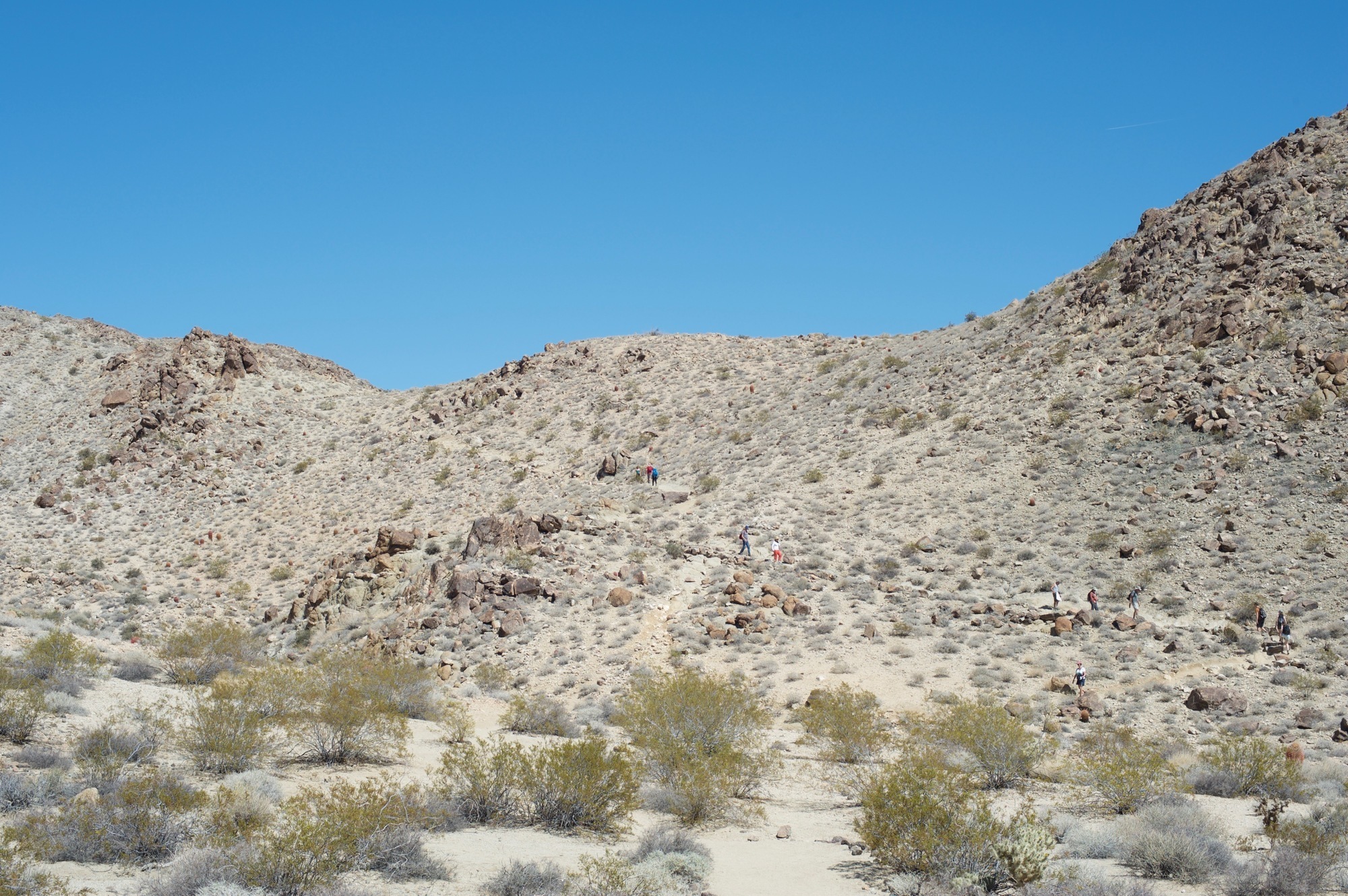 Groups descend the trail through the desert. As you can see, the trail ...