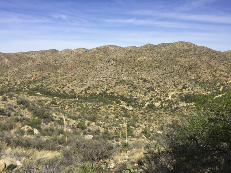 The Wild Burro Trail singletrack is visible in the distance along with ...
