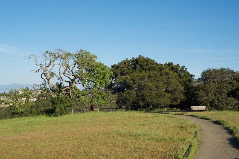 The end of the Ridgeview Trail offers shade under the tree and a bench ...