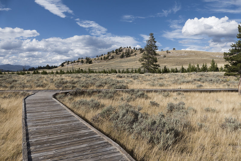 Forces of the Northern Range Self-Guiding Trail Hiking Trail, Mammoth ...