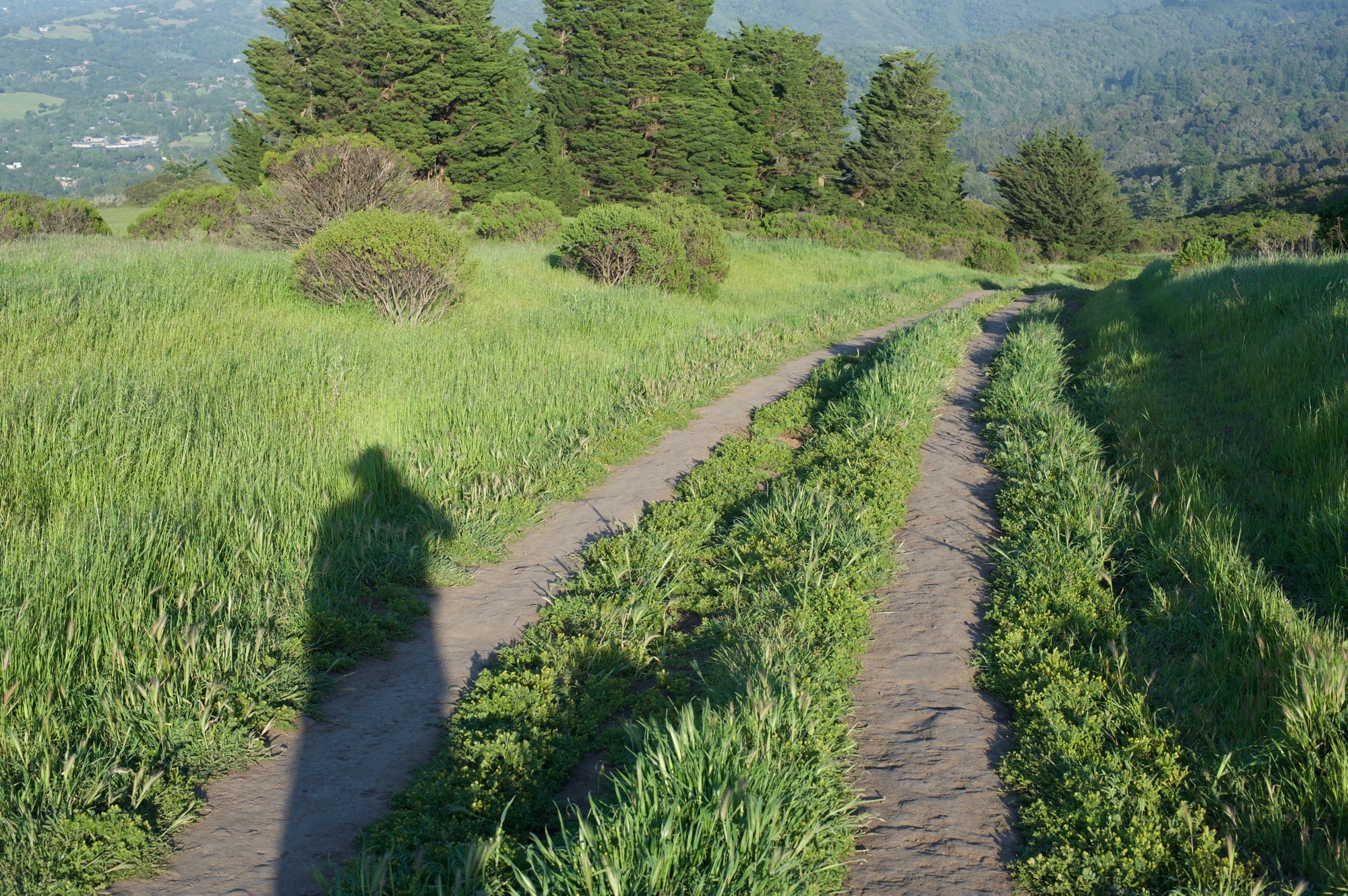 The Spring Ridge Trail as it drops from Skyline Boulevard back into the ...