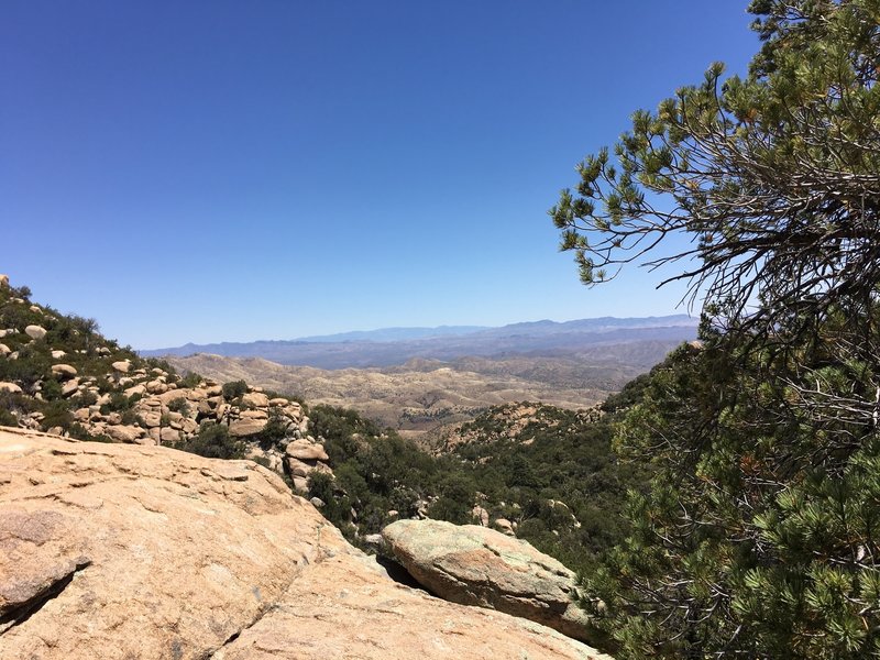 View looking east across Happy Valley with Galiuro Mountains and ...