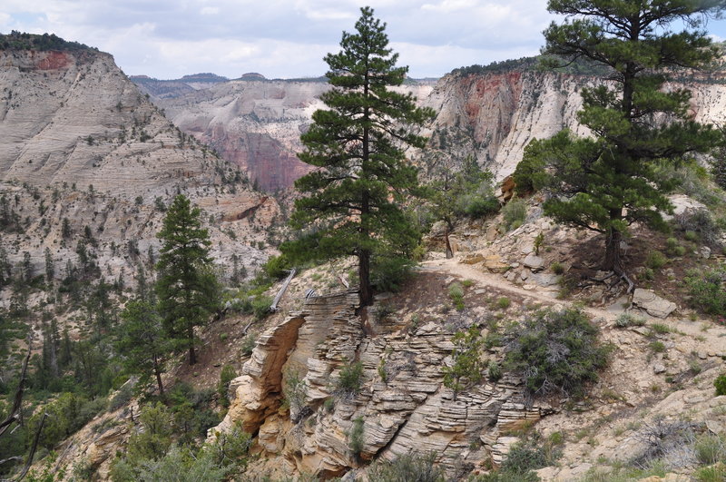 East Rim Trail, Zion National Park. Once you pass this turn you have a ...