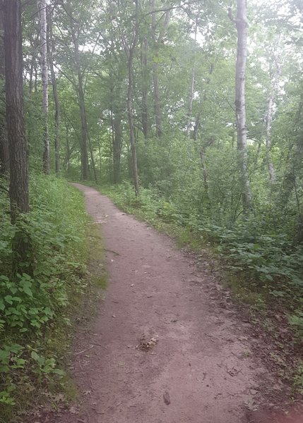 Lebanon Hills Regional Park Hiking Trail, Eagan, Minnesota