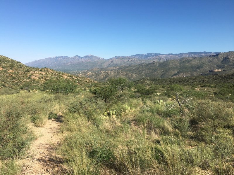 The trail will start to descend presenting great views of the Tanque ...