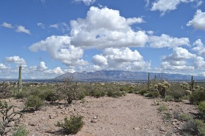 Hiking Trails near Greasewood Park