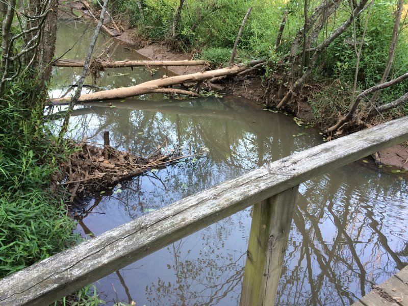 Slow moving creek at the bridge on the west side of the wetlands. To ...