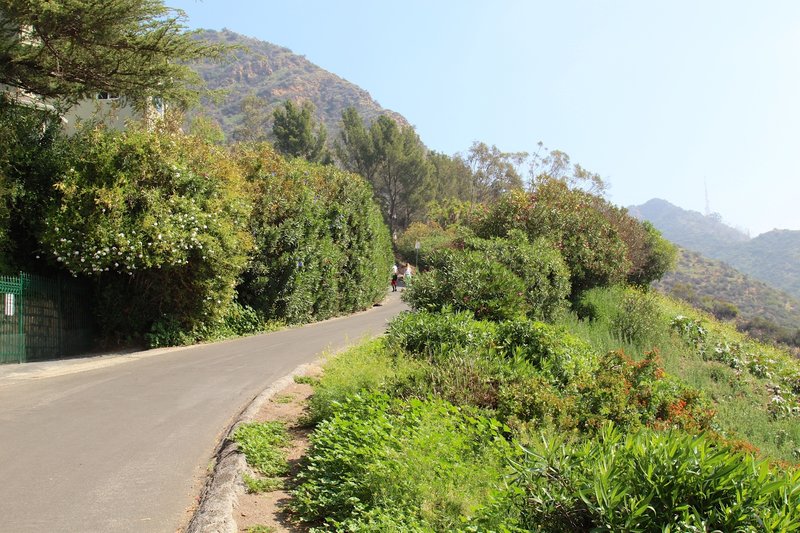 Walking on Wonder View Drive.