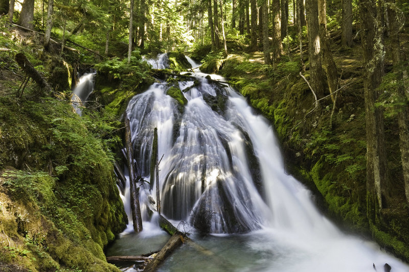 Little Zigzag Falls Trail #795C Hiking Trail, Mount Hood Village, Oregon