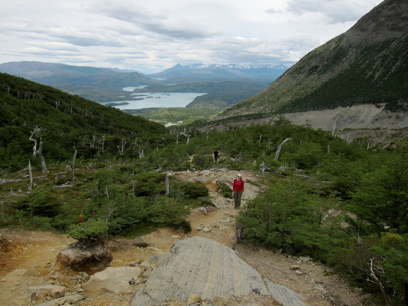Hiking up to the Frances Lookout leads to gorgeous views of Lake ...