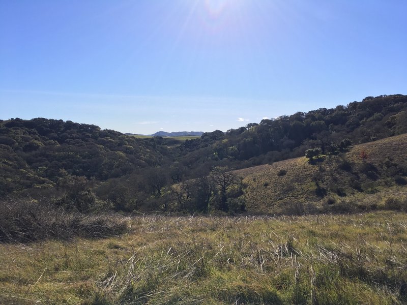 Looking south from Ridge Trail Paved, you can see the nose of South ...