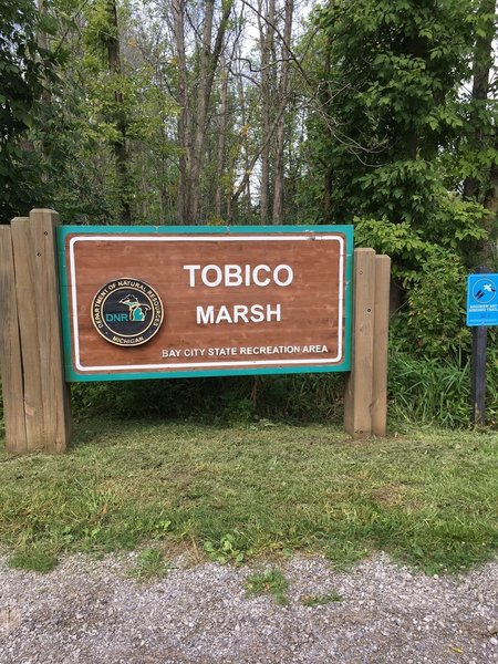 Tobico Marsh Trail Hiking Trail, Bay City, Michigan