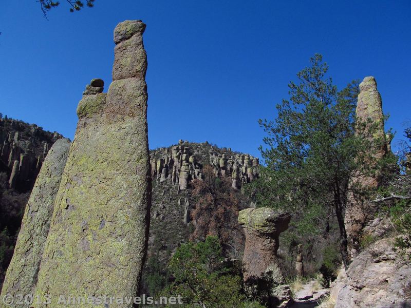 Rock spires stand as sentinels along the Ed Riggs Trail.