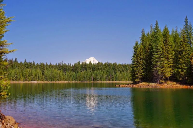 Looking north on the Timothy Lake Trail, enjoy beautiful views of the ...