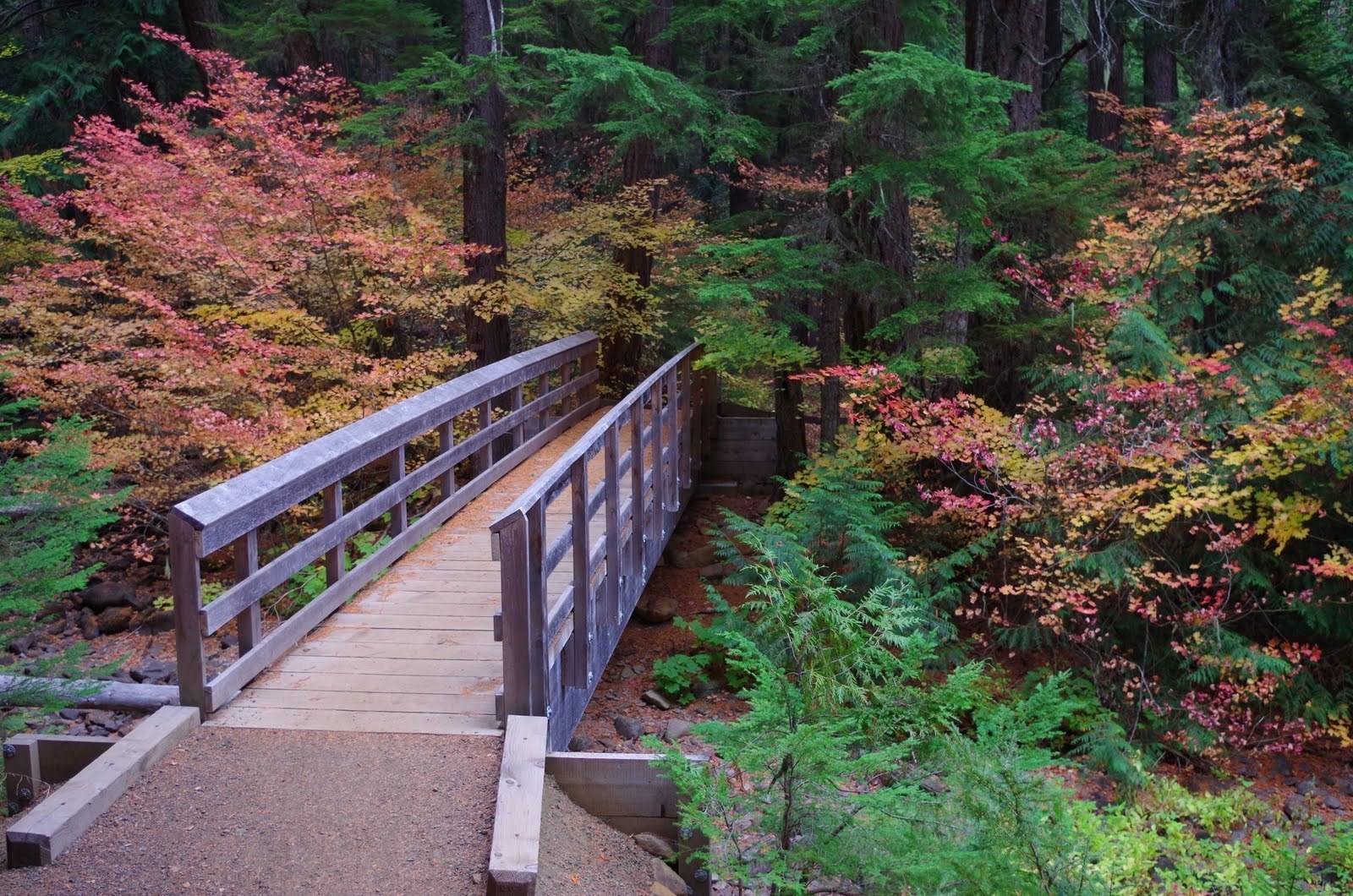 This sturdy bridge guides your passage over Dinger Creek on the Timothy ...