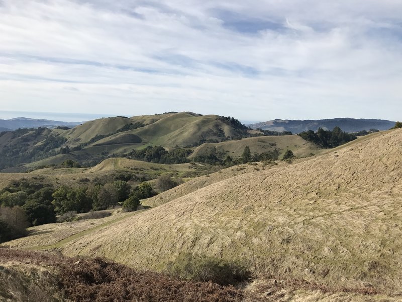 The hills surrounding the Russian Ridge Preserve, and the Pacific Ocean ...