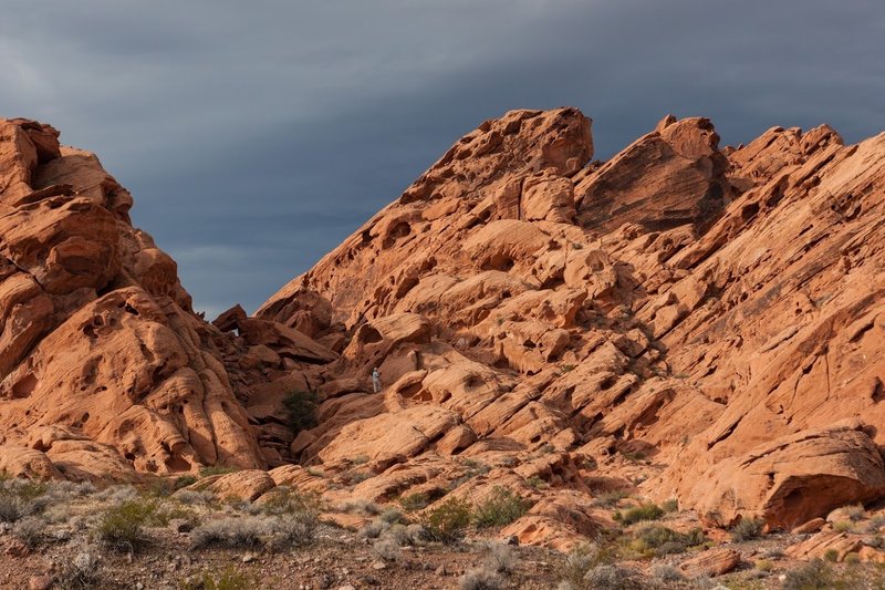 Explore the red rocks.