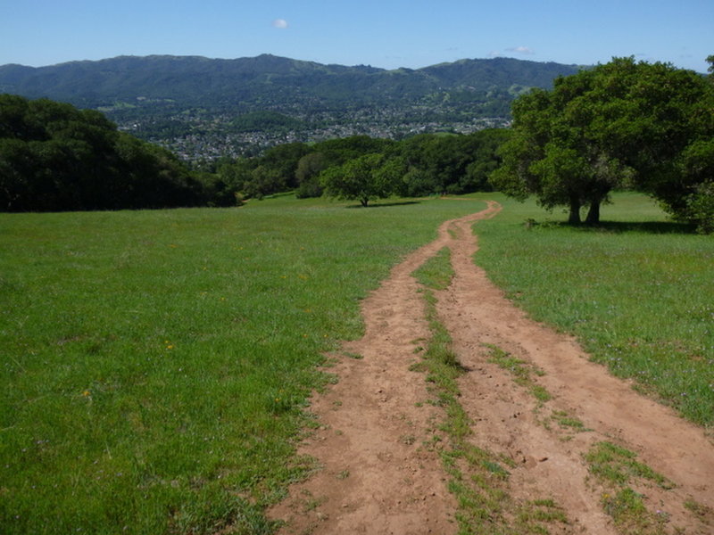 Mt. Burdell Preserve Loop Hiking Trail, Novato, California