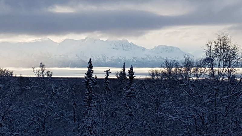 Pioneer Loop Hiking Trail, Fishhook, Alaska