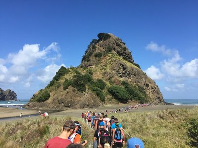 Hiking Trails near Piha