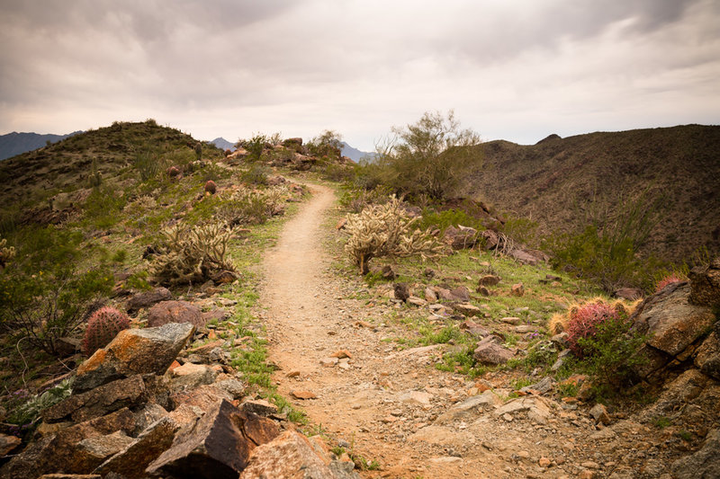 The Pyramid Trail traverses along the ridgeline through typical Sonoran ...