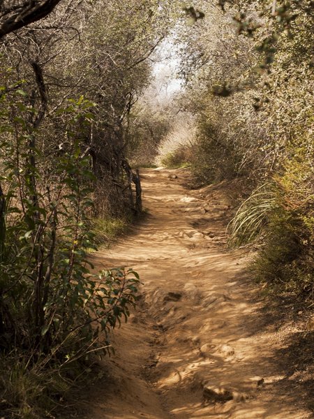 Temescal Canyon Loop Hiking Trail, Santa Monica, California