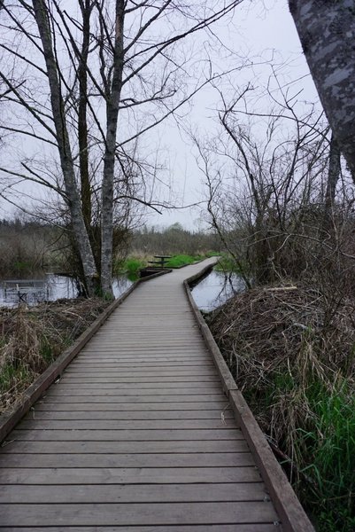 Clear Creek Trail Loop Hiking Trail, Silverdale, Washington