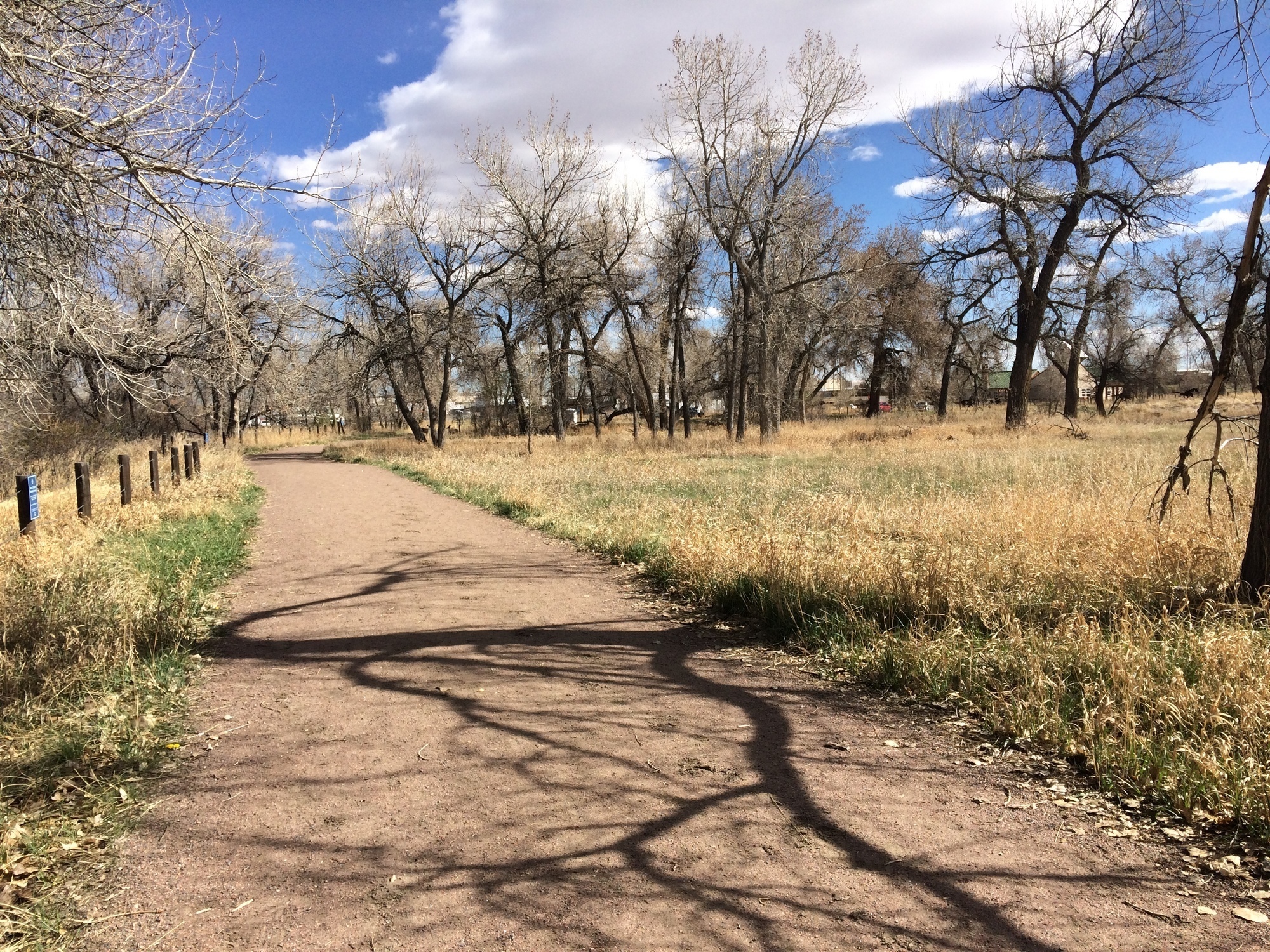 Star K Ranch Loop is a pleasant trail often with deer in the nearby fields.