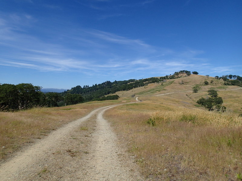 Lyons Ranch Trail Hiking Trail, Westhaven-Moonstone, California