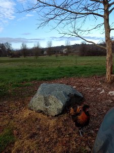 Hiking Trails near Traylor Ranch Bird Sanctuary and Nature Preserve