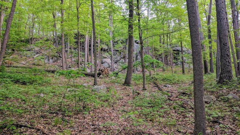 The Blue Trail is full of winding switchbacks. From this spot, enjoy ...