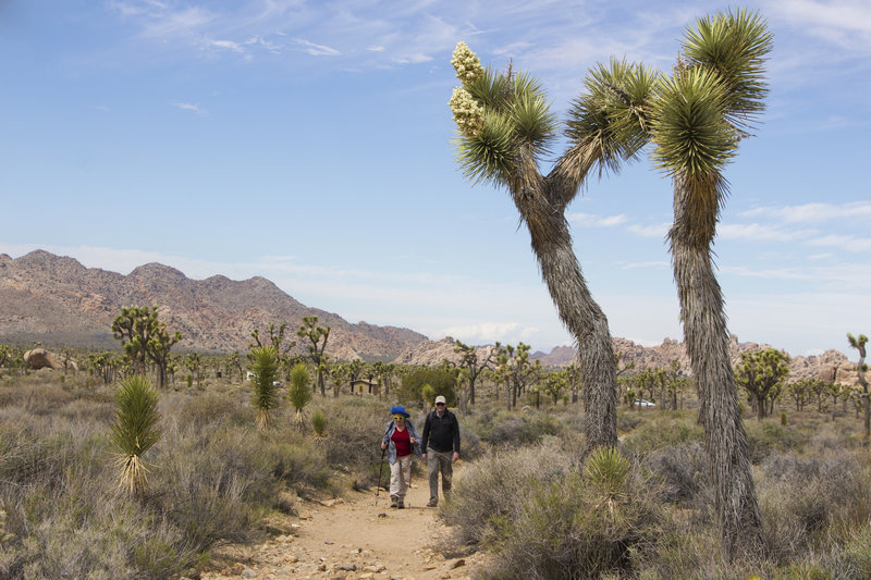 Park visitors head up the Ryan Ranch Trail. Photo credit: NPS/Hannah ...