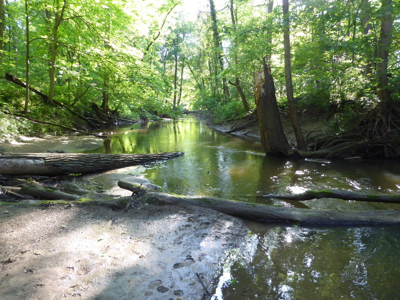The Calumet River at the western end of the Heron Rookery Trail ...