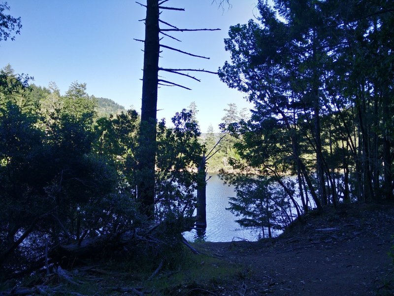 Kent Lake, Lagunitas-Forest Knolls, California