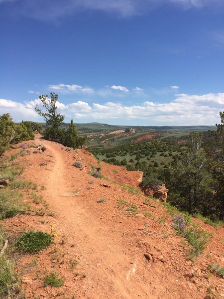 The Red Ridge Trail, that ties into the Johnny Draw Trail, is narrow ...