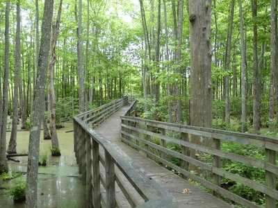 Hiking Trails near Ghost River State Natural Area