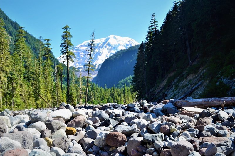 Mount Rainier stands upstream of the Wonderland Trail-Northern Loop ...