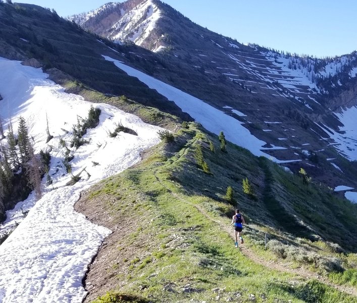 Cascade Saddle Trail Hiking Trail, Orem, Utah